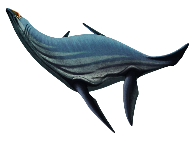 Polycotylidae (Liera) | Speculative Evolution Wiki | Fandom