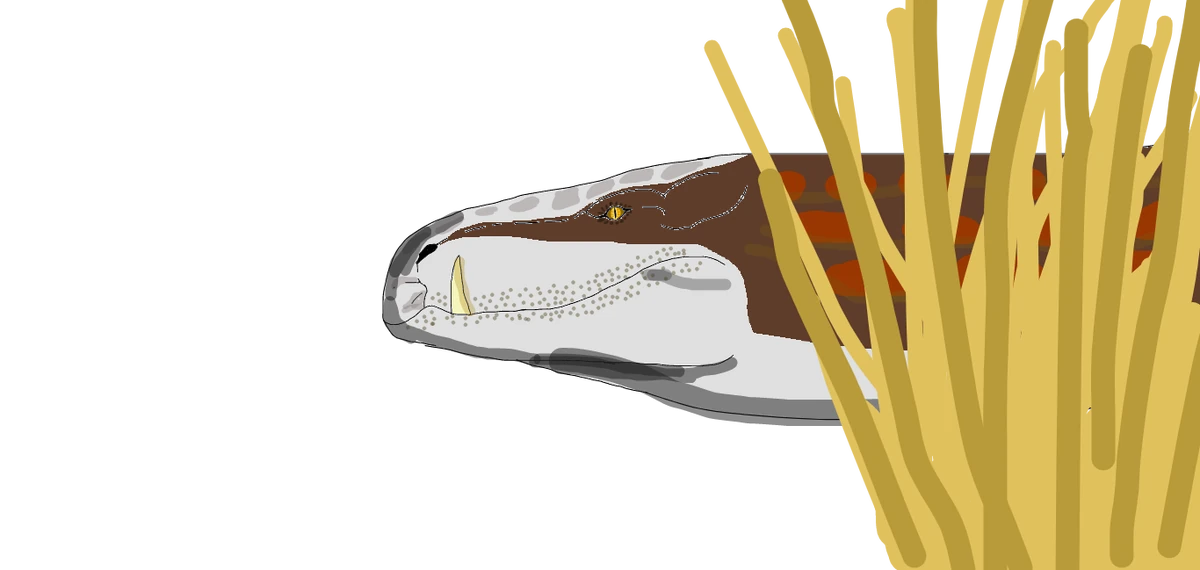Mu Crocodylomorpha: Sebecidae | Speculative Evolution Wiki | Fandom