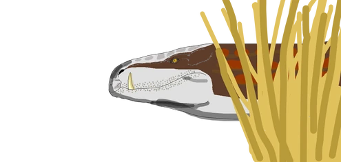 Mu Crocodylomorpha: Sebecidae | Speculative Evolution Wiki | Fandom