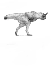 Gigantornis | Speculative Evolution Wiki | Fandom