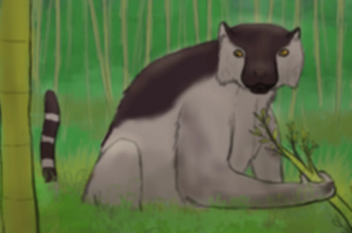 Kidoky (Liera) | Speculative Evolution Wiki | Fandom