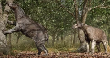 Eastern chalico (SciiFii World) | Speculative Evolution Wiki | Fandom