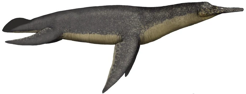 Draguin | Speculative Evolution Wiki | Fandom