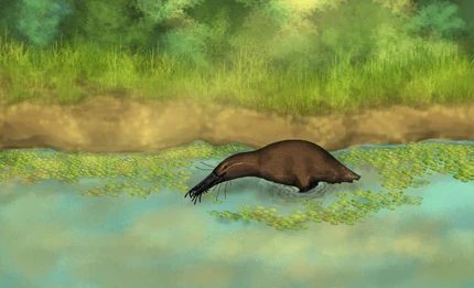 Snuffles | Speculative Evolution Wiki | Fandom