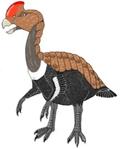 Alicant | Speculative Evolution Wiki | Fandom