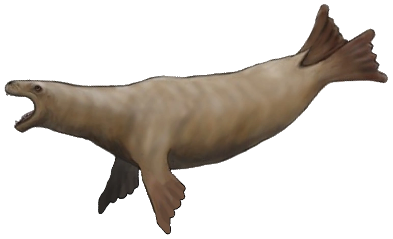 Bunyip (Liera) | Speculative Evolution Wiki | Fandom