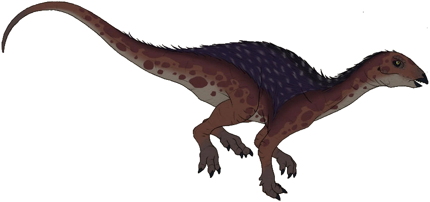 Tepua marebird (Liera) | Speculative Evolution Wiki | Fandom