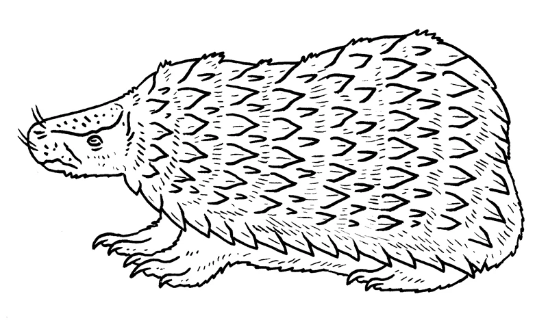 Wooly Pinecone | Speculative Evolution Wiki | Fandom