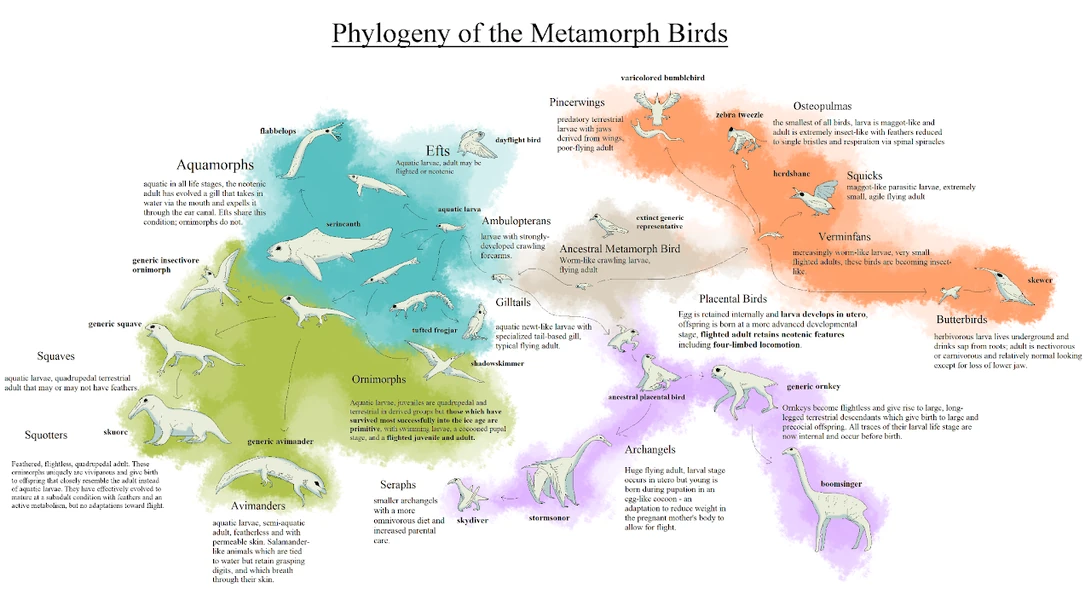 Metamorph birds | Speculative Evolution Wiki | Fandom