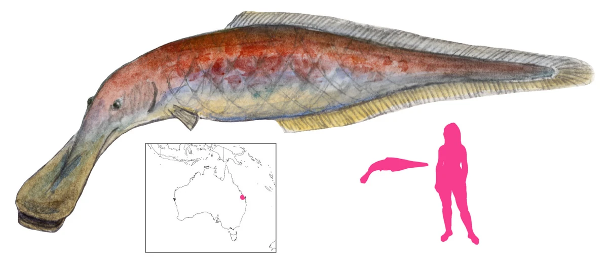 Scavenger sardine | Speculative Evolution Wiki | Fandom