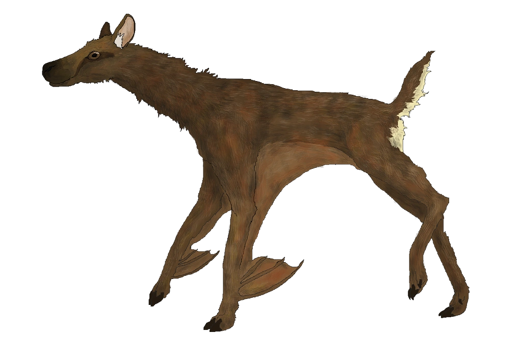 Moa (Project: Mammalia) | Speculative Evolution Wiki | Fandom