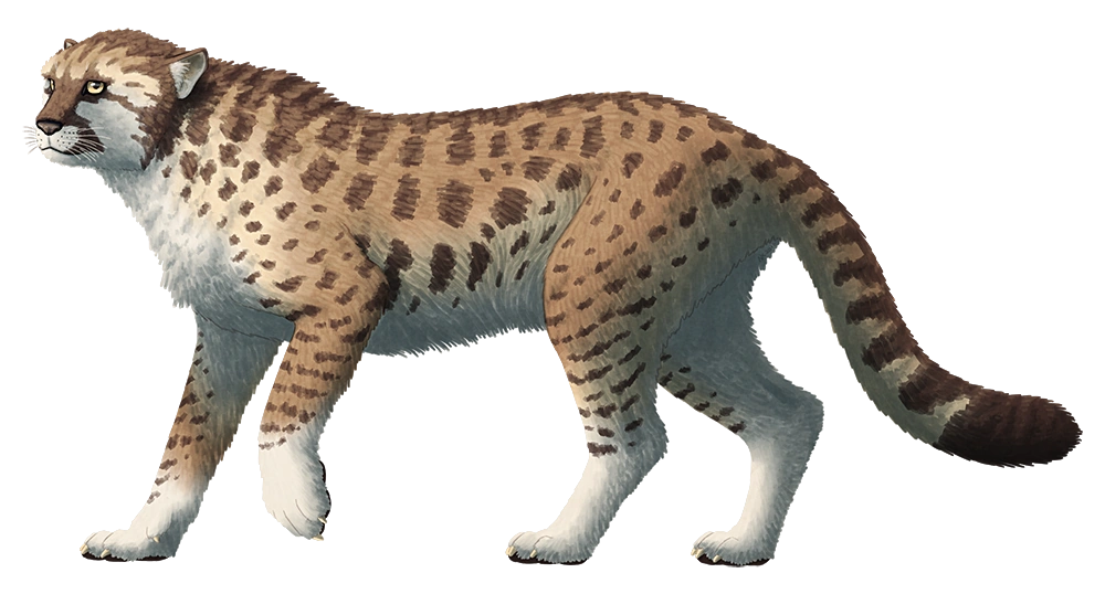 Nemean cheetahs | Speculative Evolution Wiki | Fandom