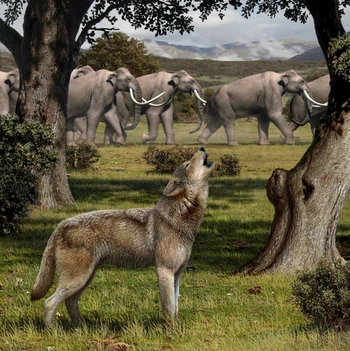 Atrox wolves | Speculative Evolution Wiki | Fandom