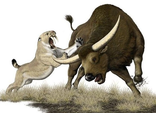 Minor Lieran bison | Speculative Evolution Wiki | Fandom