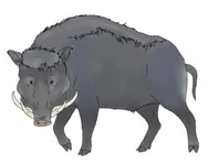 Azanian forest pigs | Speculative Evolution Wiki | Fandom