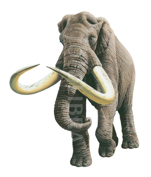 Highland mammoths | Speculative Evolution Wiki | Fandom