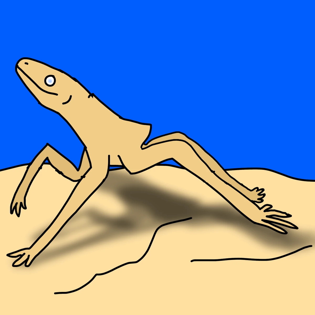 Skinwalker | Speculative Evolution Wiki | Fandom