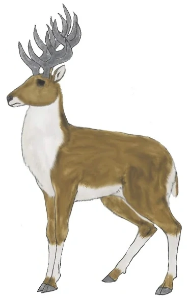 Zarhan deer (Terra) | Speculative Evolution Wiki | Fandom