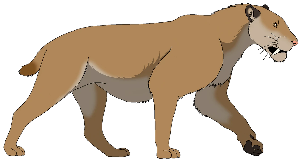 Andean scimitar-toothed cat (Ultra-Pleistocene) | Speculative Evolution ...