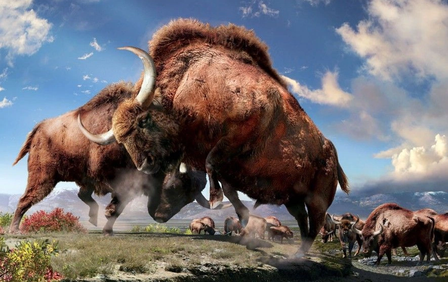 Balduvian bison (Planet X933) | Speculative Evolution Wiki | Fandom