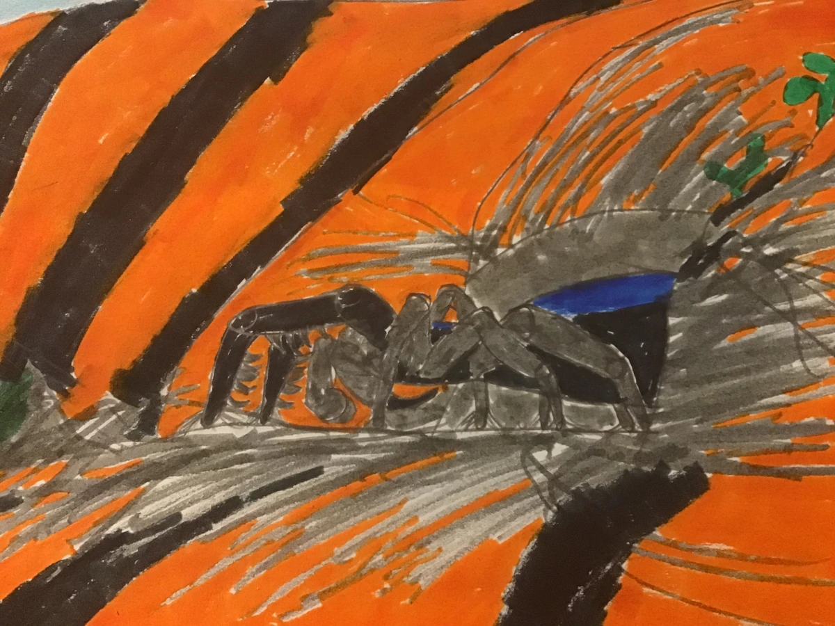 Australian Spined Tarantula | Speculative Evolution Wiki | Fandom