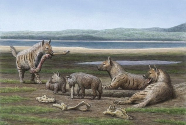 Hayau striped hyenas | Speculative Evolution Wiki | Fandom