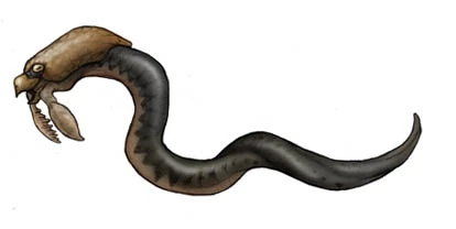 Snakes Quid | Speculative Evolution Wiki | Fandom