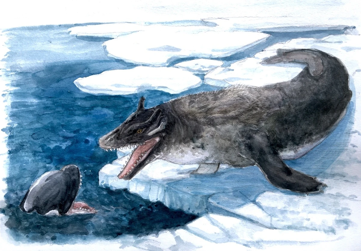 Cetaceal | Speculative Evolution Wiki | Fandom