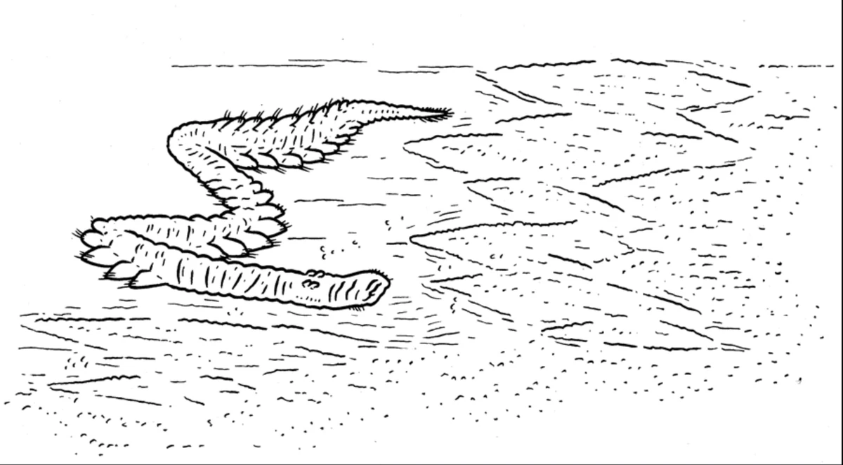 Planter worm | Speculative Evolution Wiki | Fandom