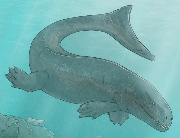 Thalattosuchia (Liera) | Speculative Evolution Wiki | Fandom