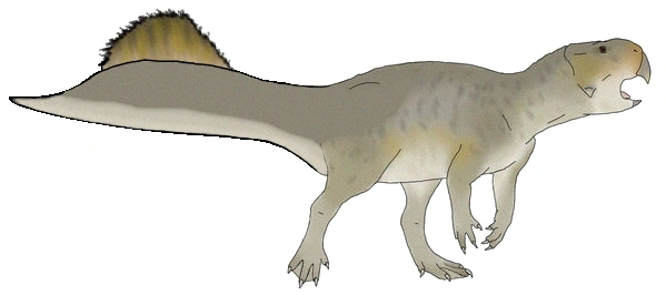 Aquatic running ceratops (SciiFii World) | Speculative Evolution Wiki | Fandom