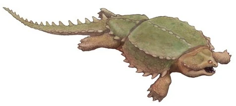 Wide-shelled false-turtle (SciiFii World) | Speculative Evolution Wiki ...