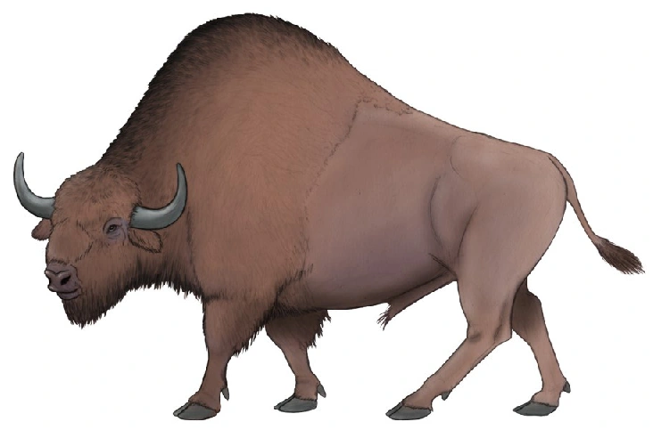 Lieran giant bison (Liera) | Speculative Evolution Wiki | Fandom