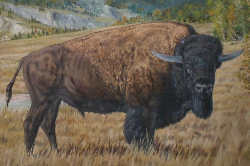 Endoran bison (Endora) | Speculative Evolution Wiki | Fandom
