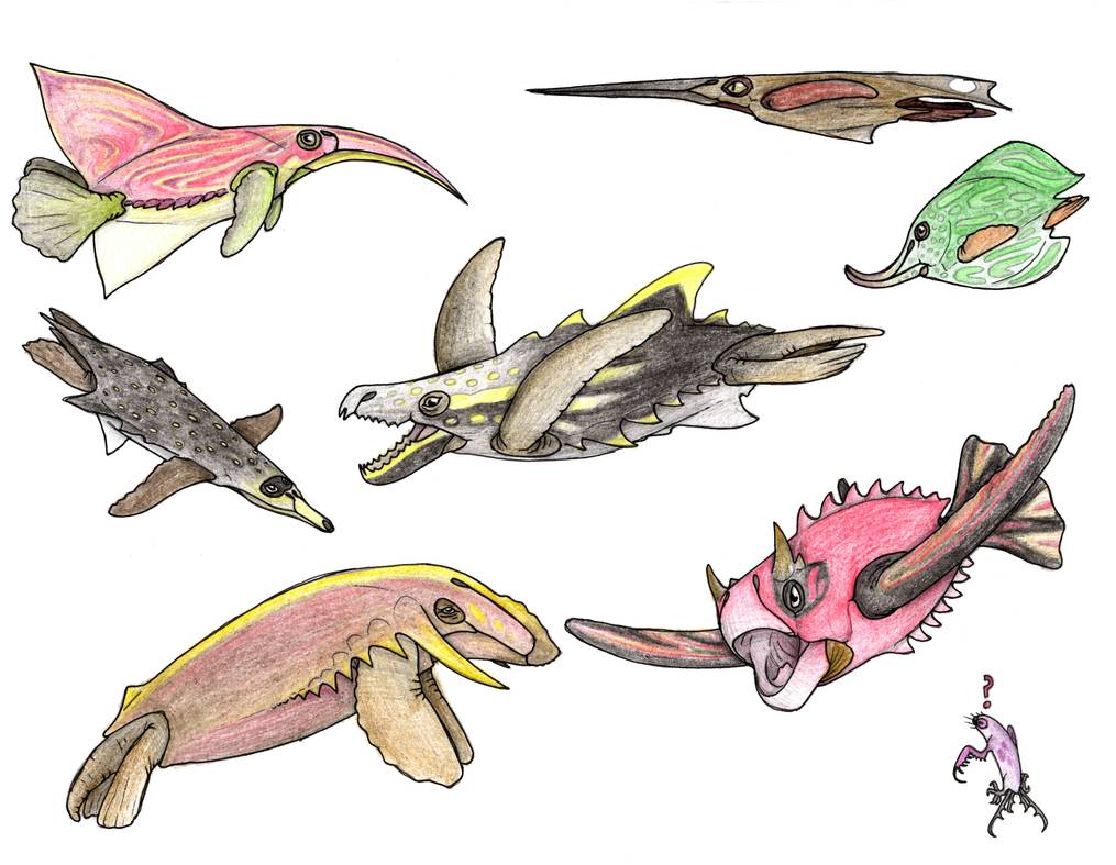 Future Animals On Earth