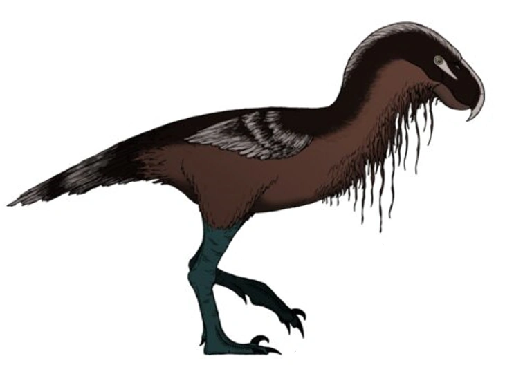 Kiquars | Speculative Evolution Wiki | Fandom