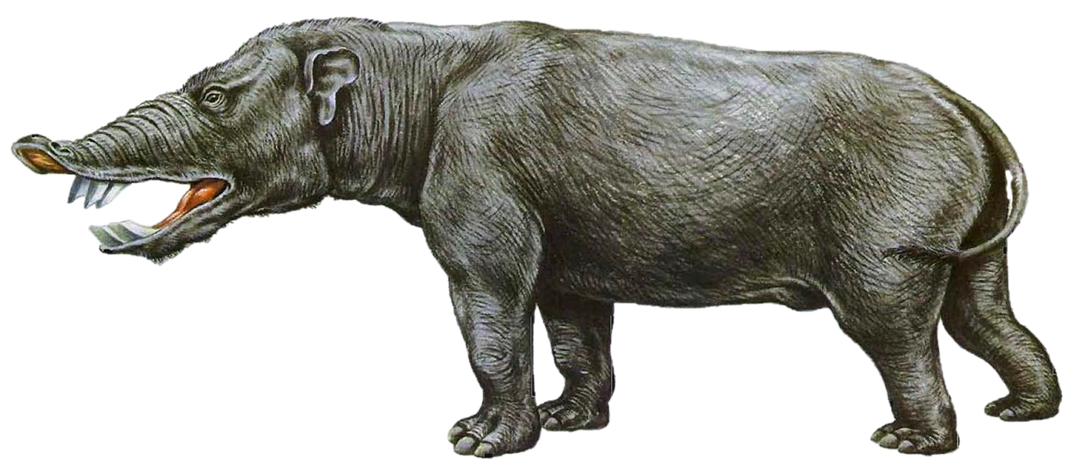 Short-faced elephant (Liera) | Speculative Evolution Wiki | Fandom