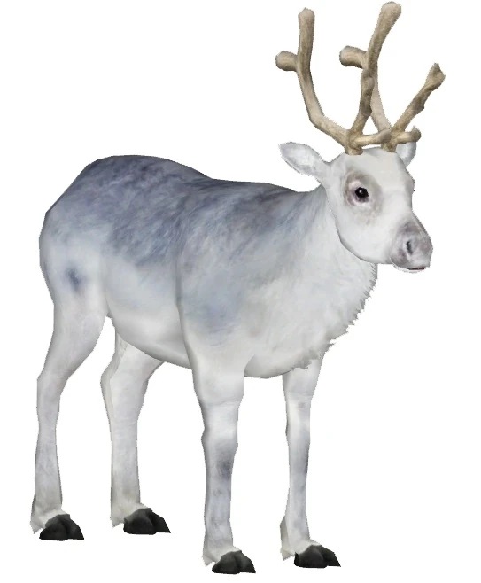Alaskan blue caribou (Ultra-Pleistocene) | Speculative Evolution Wiki ...
