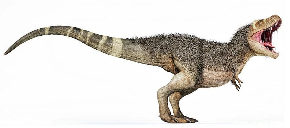 Alaskan mountain tyrant (Ultra-Pleistocene) | Speculative Evolution Wiki | Fandom