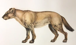 Mustelidae (Terra) | Speculative Evolution Wiki | Fandom