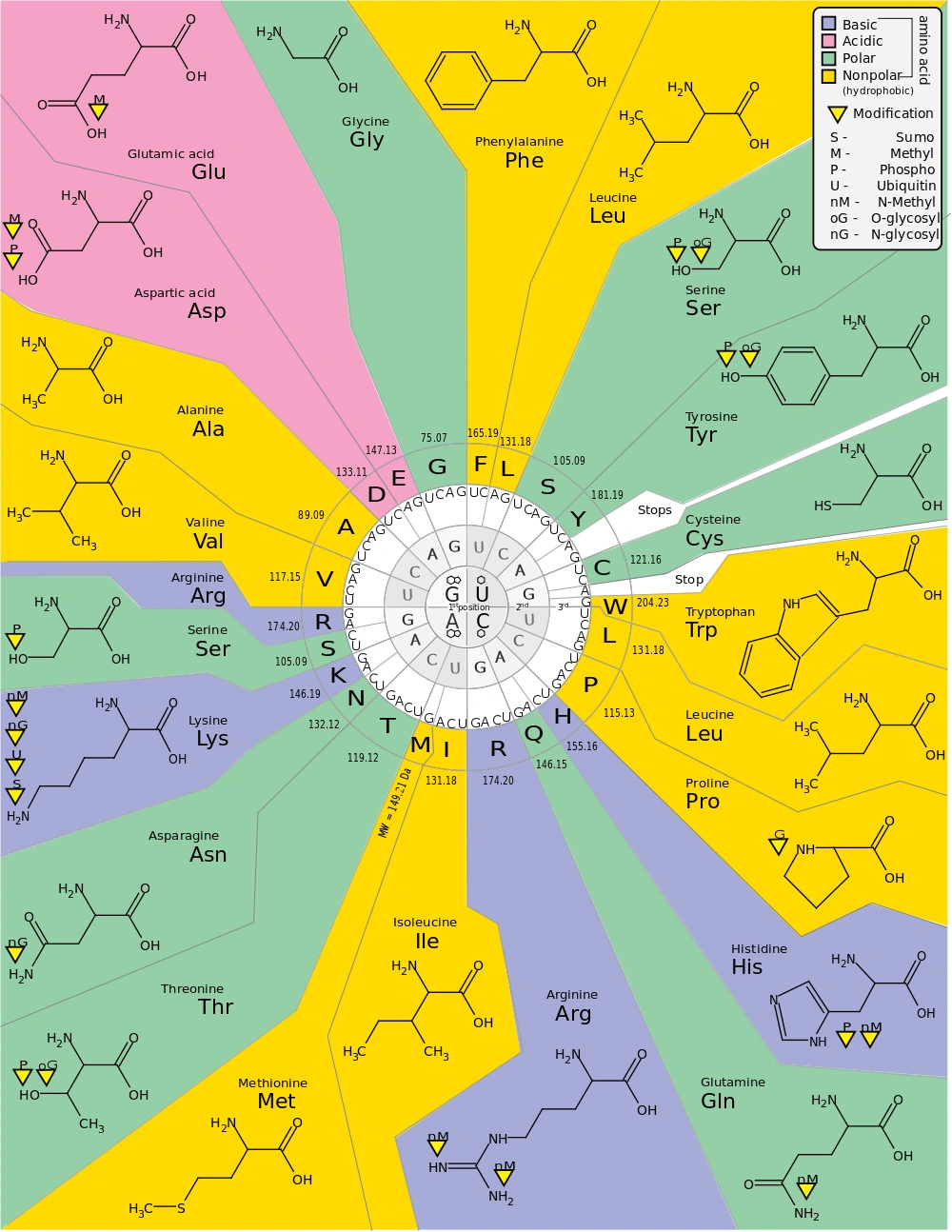 Evolution | Speculative Evolution Wiki | Fandom