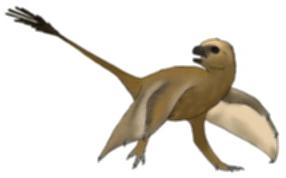 Fairy dragon (Liera) | Speculative Evolution Wiki | Fandom