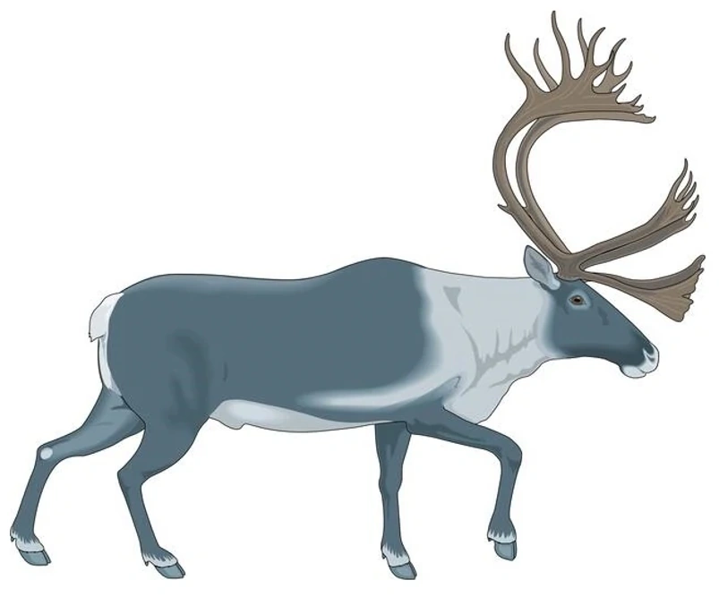 American blue caribou (Ultra-Pleistocene) | Speculative Evolution Wiki ...