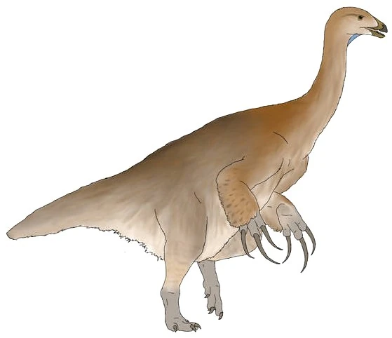 Northern giant sythebird (Liera) | Speculative Evolution Wiki | Fandom
