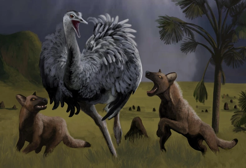 Neotropic dog (Neo-Earth) | Speculative Evolution Wiki | Fandom