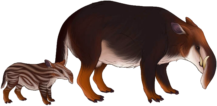 Macroscelidea (Liera) | Speculative Evolution Wiki | Fandom