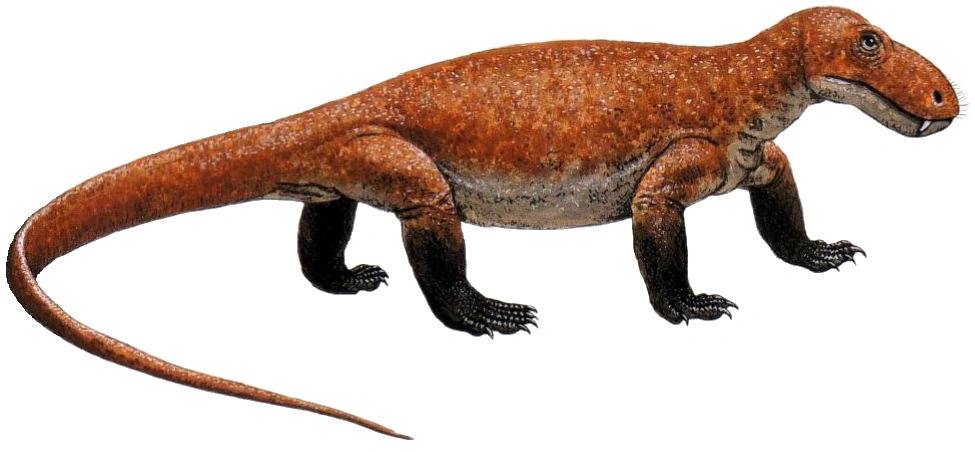 Red Agran dog (Liera) | Speculative Evolution Wiki | Fandom