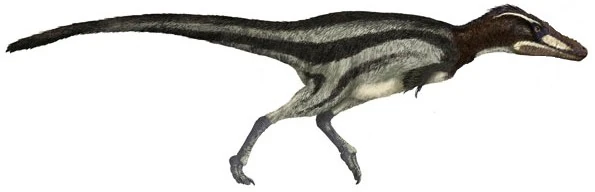 Long-snouted tyrant (Liera) | Speculative Evolution Wiki | Fandom