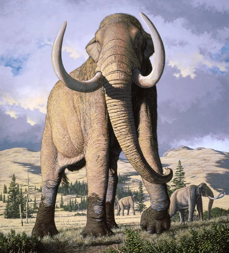 Primal Island mammoths | Speculative Evolution Wiki | Fandom
