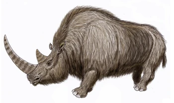 Alaskan woolly rhino (Ultra-Pleistocene) | Speculative Evolution Wiki ...